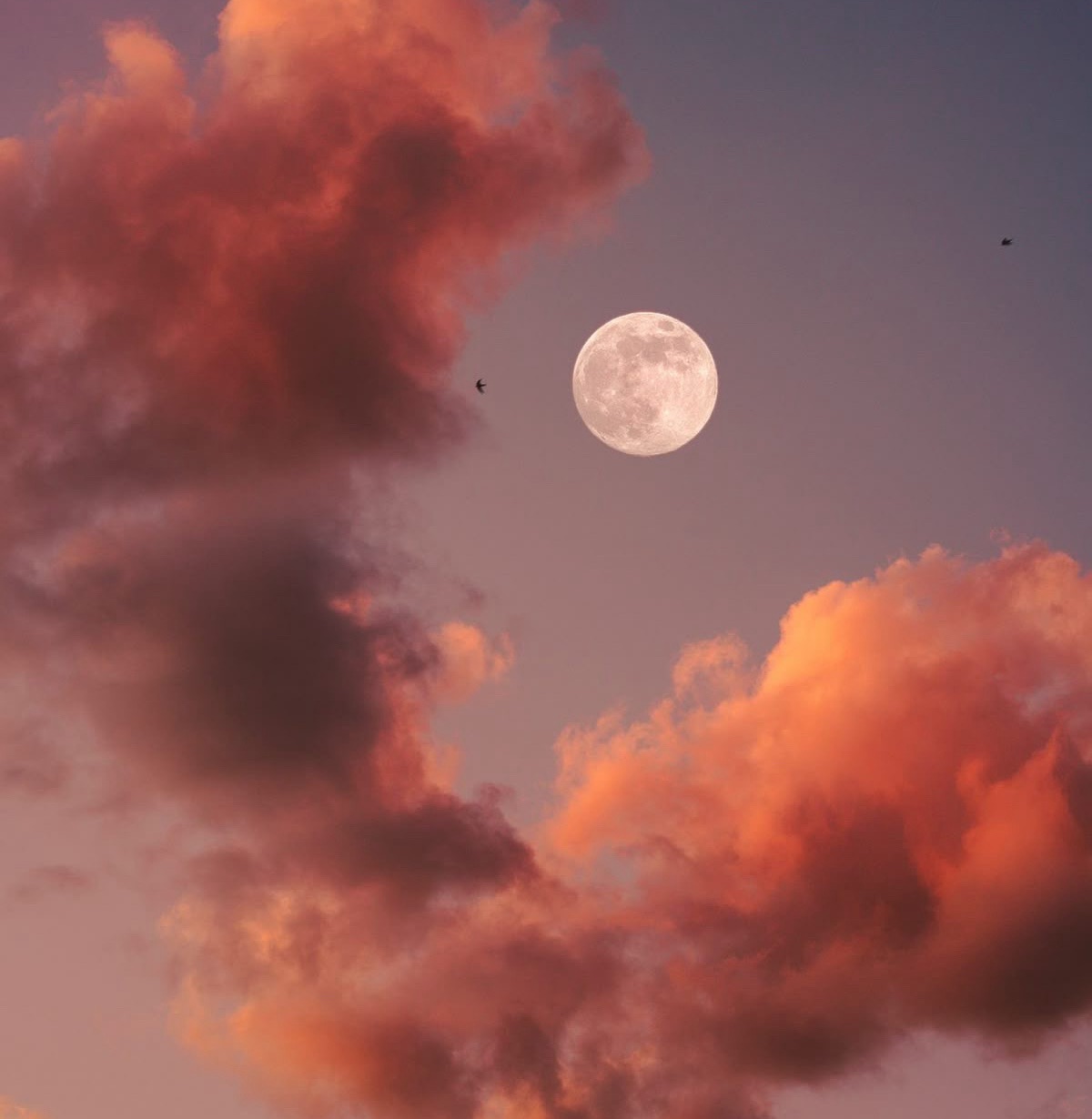 Full Moon Release 8/9 – finding light in the dark
